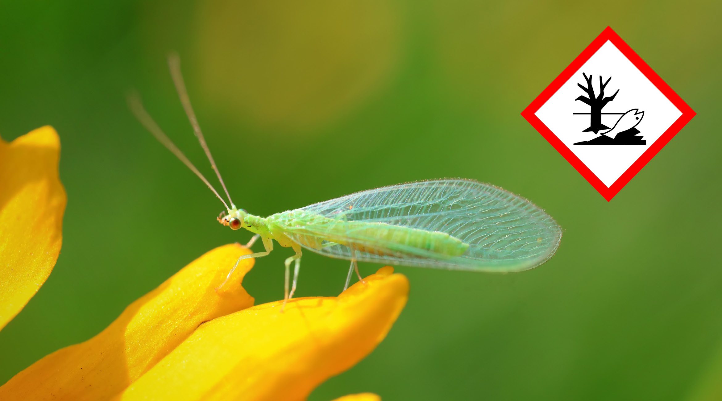 Neue Studien bestätigen Risiken von Glyphosat