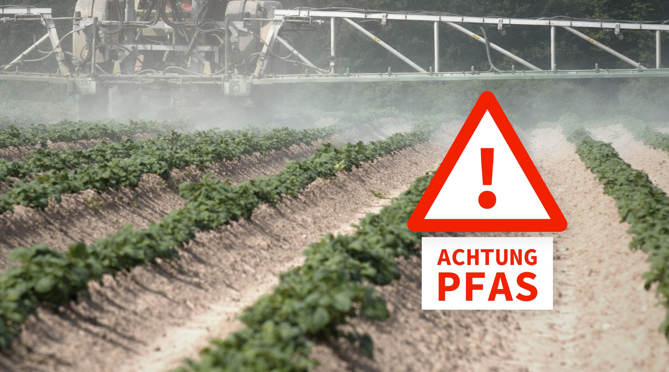 PFAS-Pestizide: Ewigkeitschemikalien in Lebensmitteln?